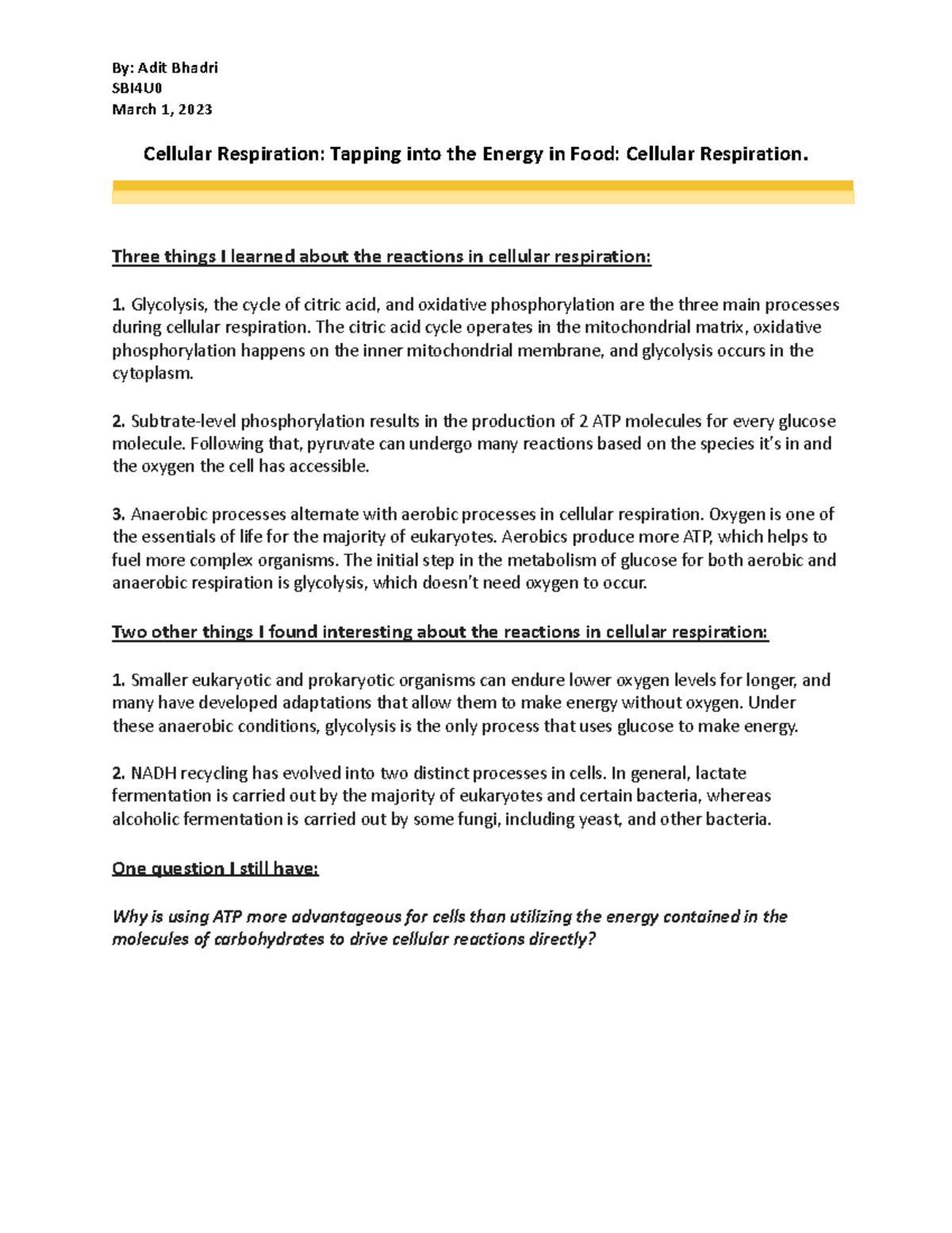 How Food Fuels Cellular Respiration