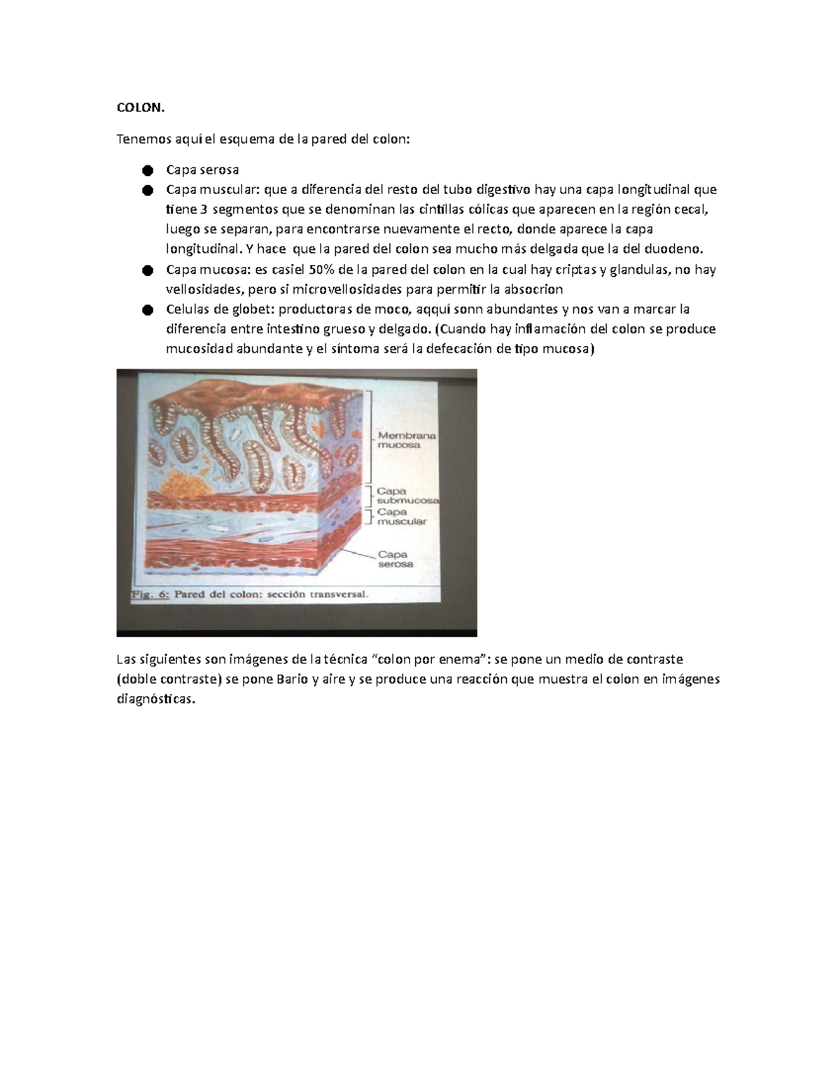 Colon - Transcripción de clase para parcial - COLON. Tenemos aquí el ...