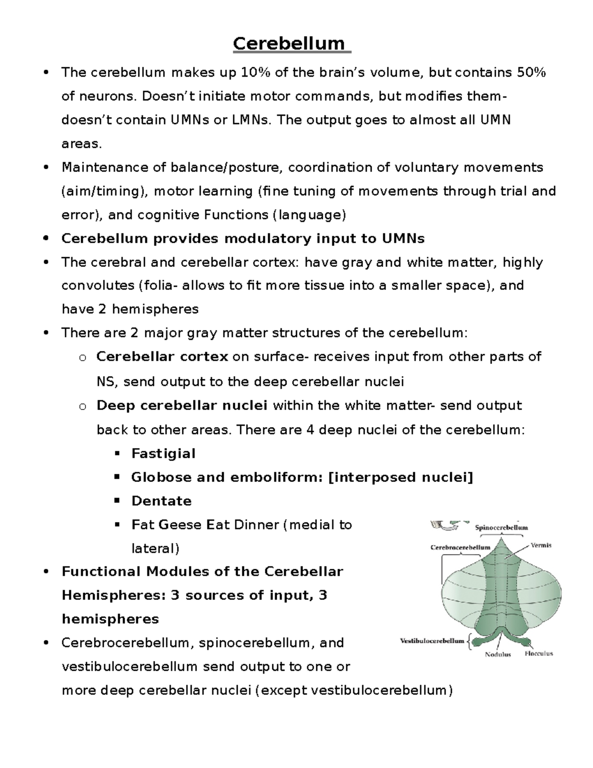Cerebellum notes-NEUR 335 - Cerebellum The cerebellum makes up 10% of ...