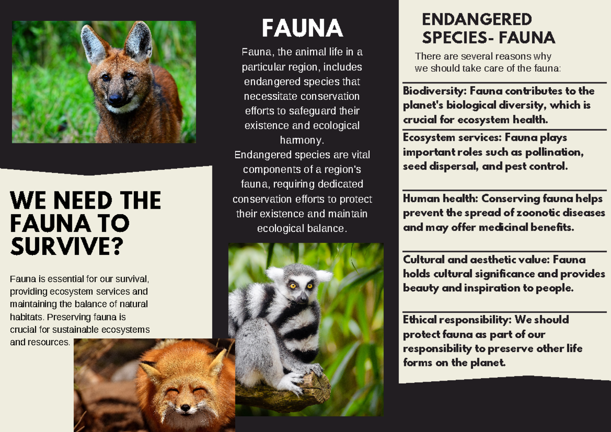 Fauna - Ecosystem services: Fauna plays important roles such as ...