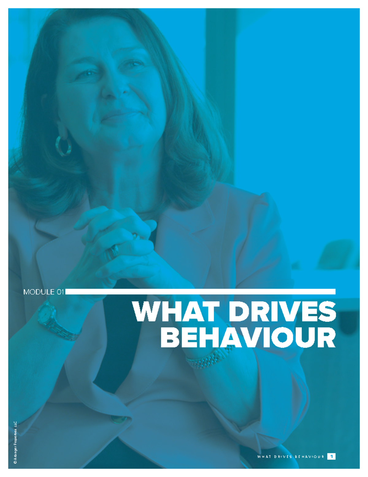 Module 01 - What Drives Behaviour SA - But if mindset is what drives ...