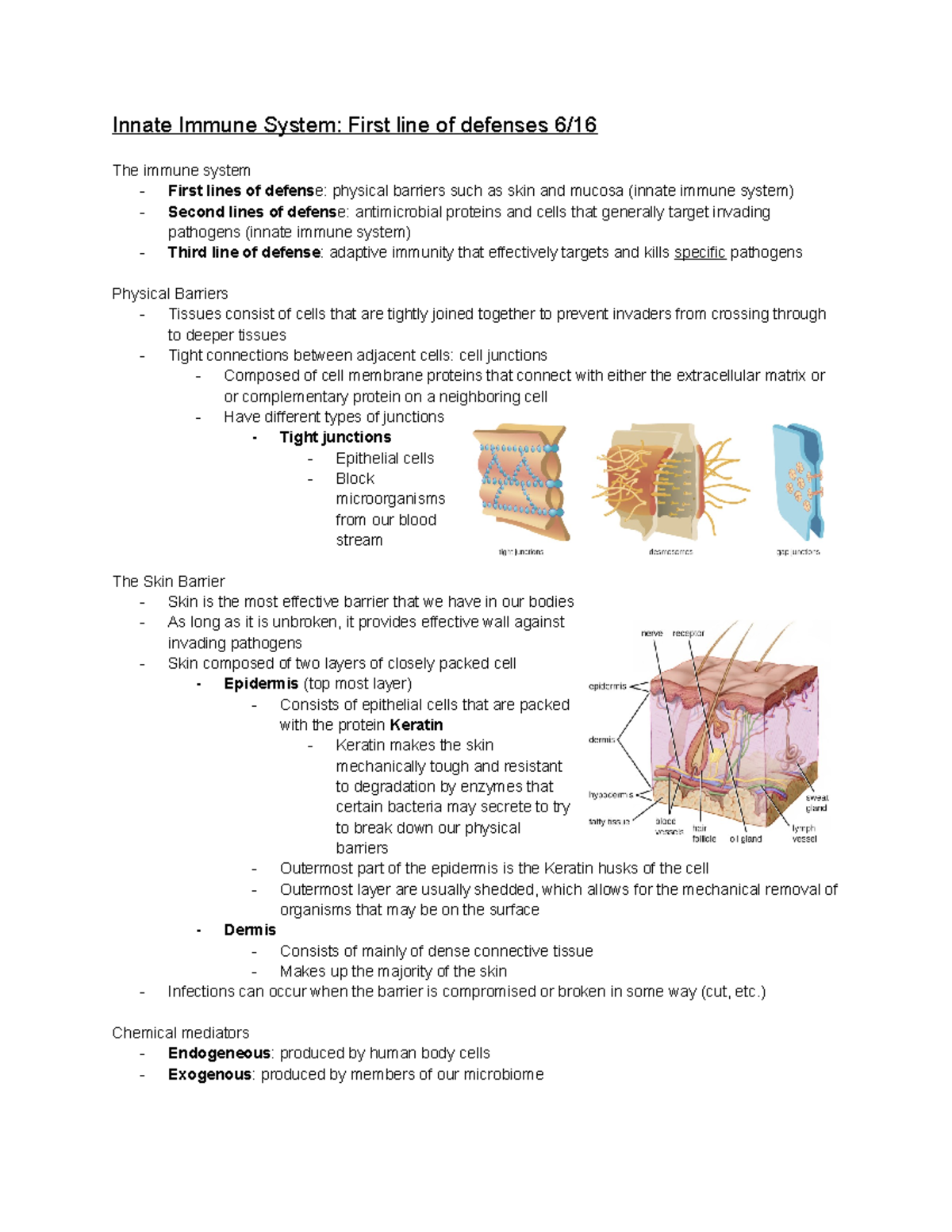 Microbiology EXAM 4 Notes - Innate Immune System: First line of ...
