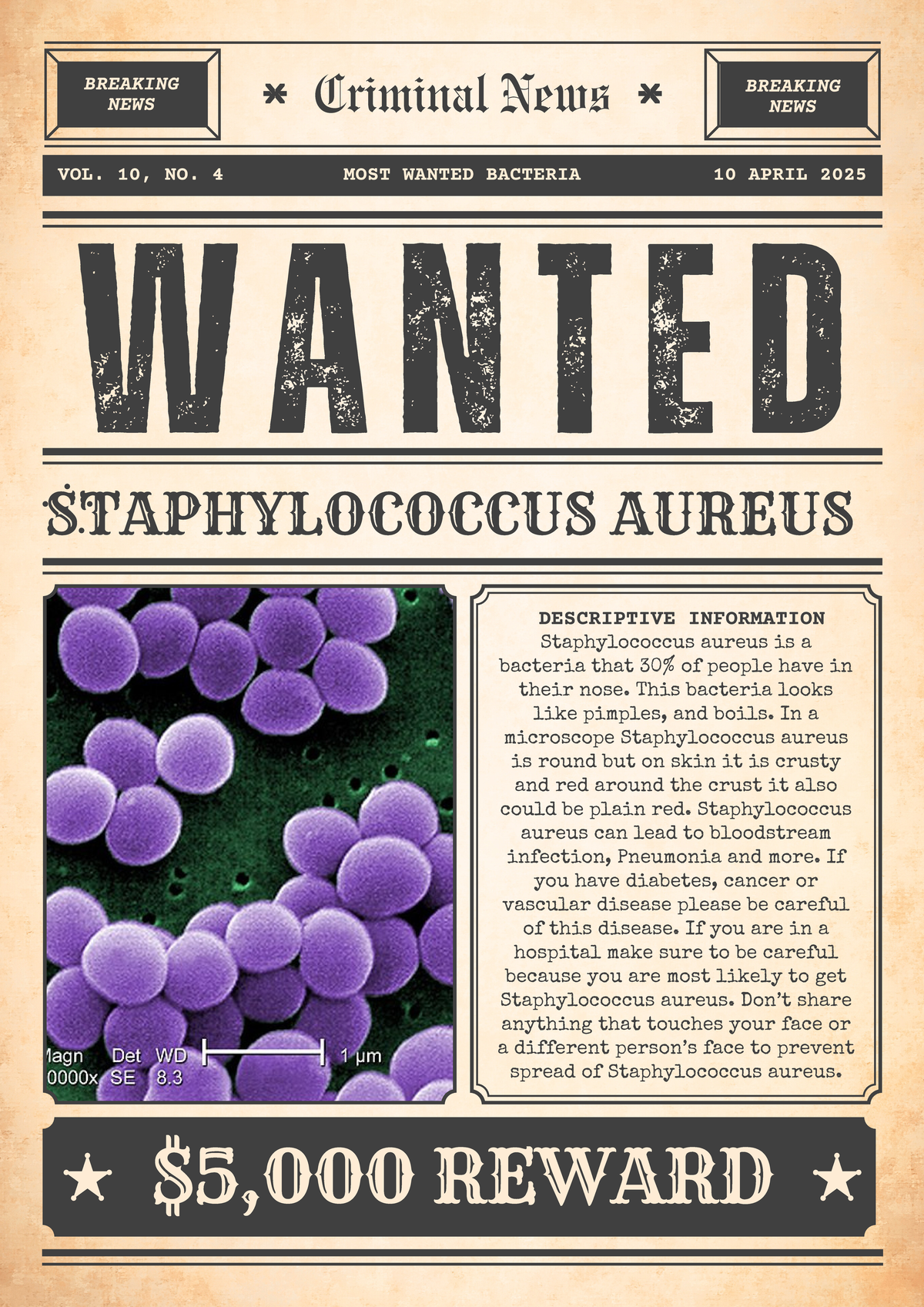 Wanted Staphylococcus aureus poster - W A N T E D $5,000 REWARD ...