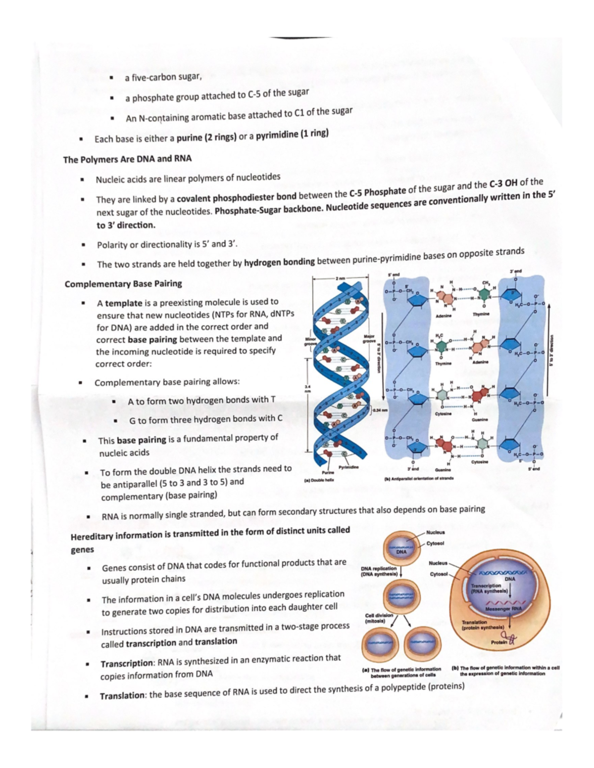 Dna - What DNA is and how it's created. - PCB 3023C - Studocu