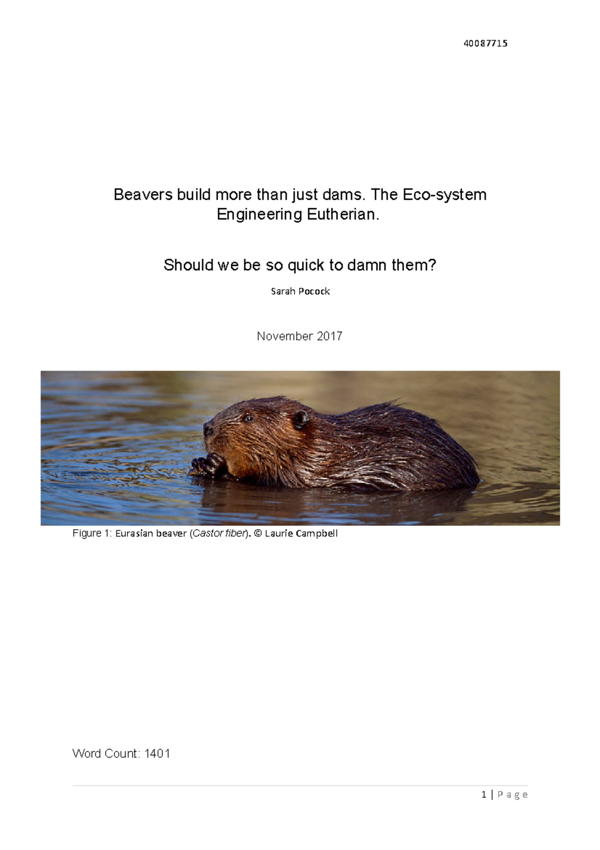 Biodiversity popular science article - 40087715 Beavers build more than ...