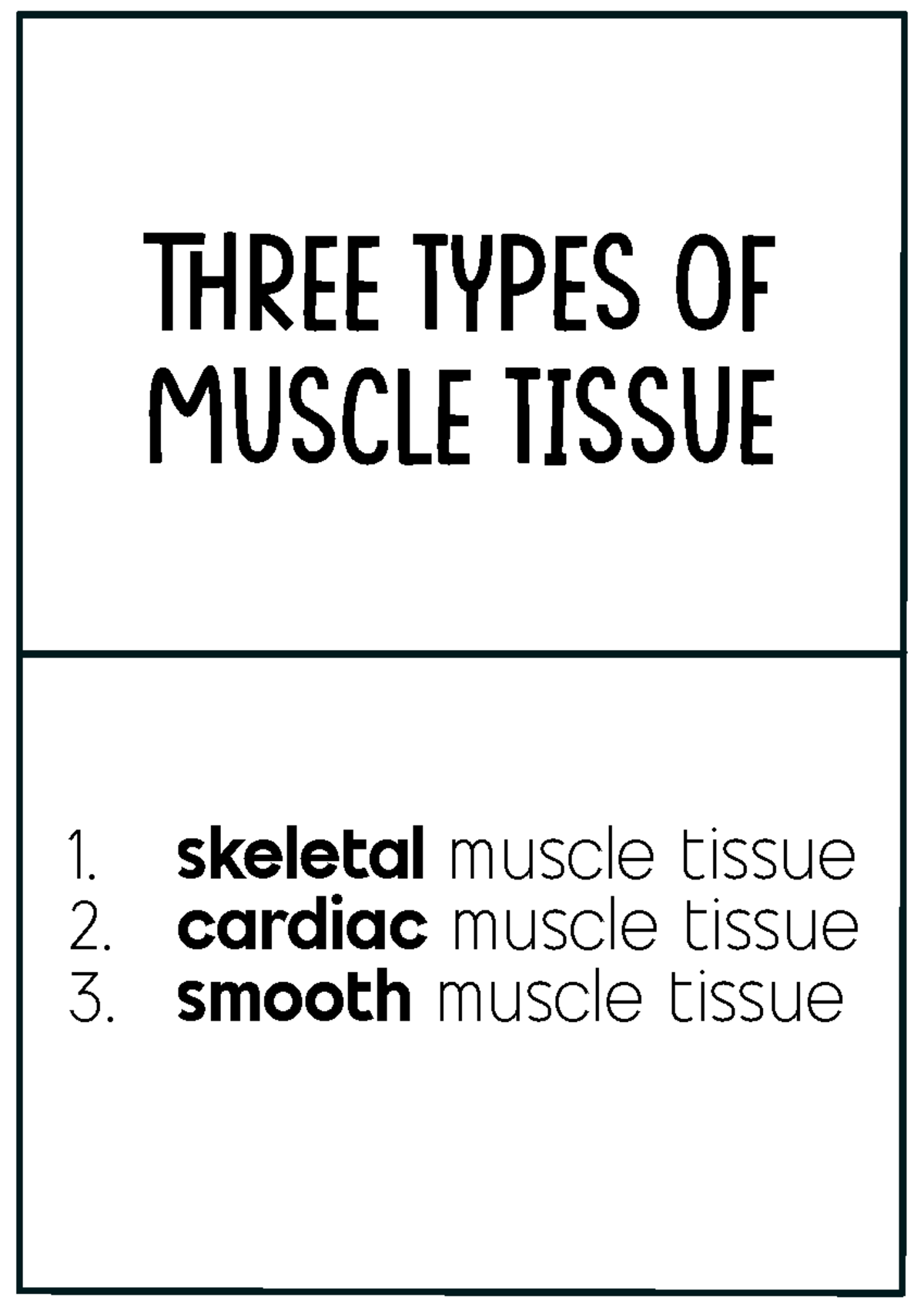 Unit 11 (goes with ch.10 in 2113) Muscle Tissue Flashcards - 1 ...
