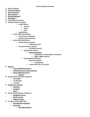 Anatomy Review Skeletal Muscle Tissue - Anatomy Review: Skeletal Muscle ...