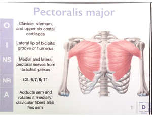 GEN BIO Reviewer - .... - Properties of Life Cell Theory Cell Structure ...