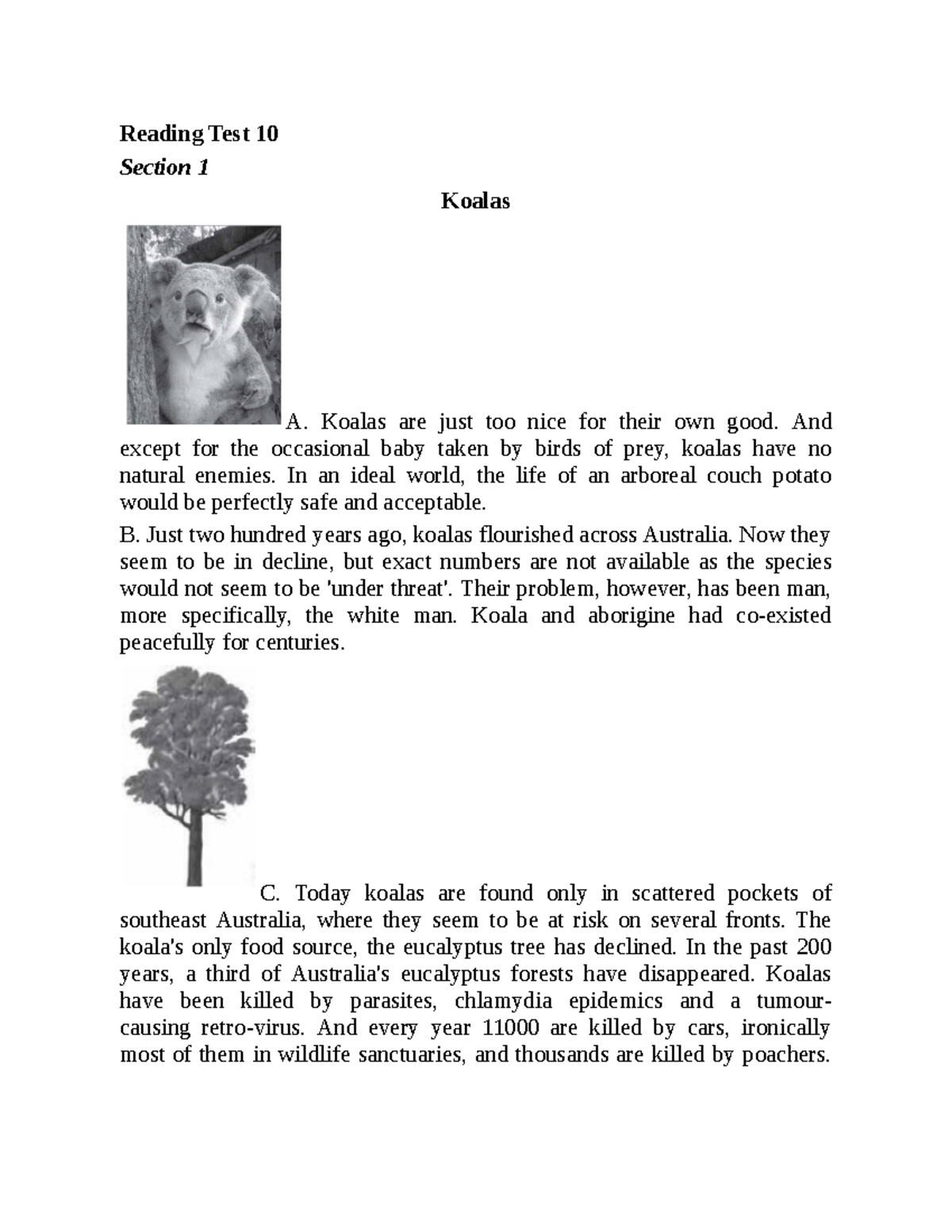 Reading passage 10 - Reading Test 10 Section 1 Koalas A. Koalas are ...
