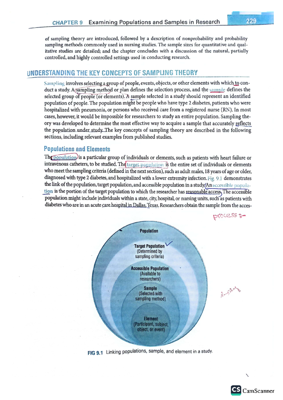 Population and Sampling - CHAPTER 9 Examining Populations and Samples ...