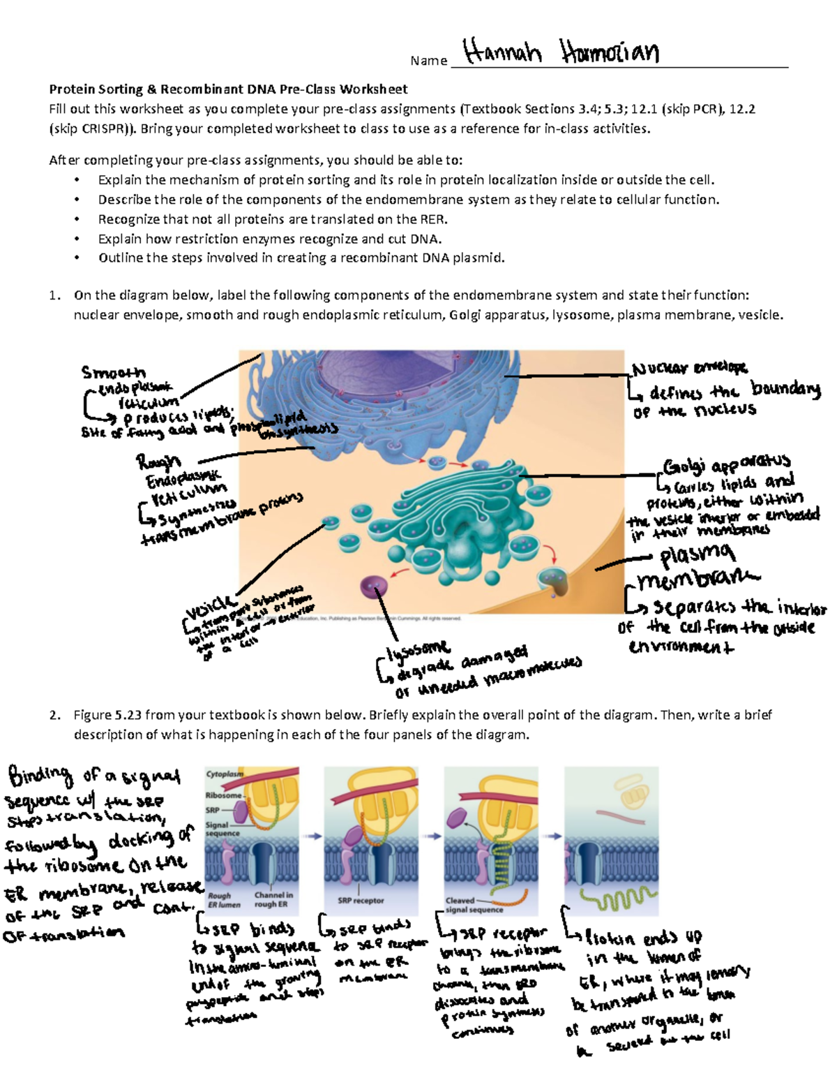 Week 8b Pre-Class Reading Guide - Protein Sorting Recombinant DNA ...