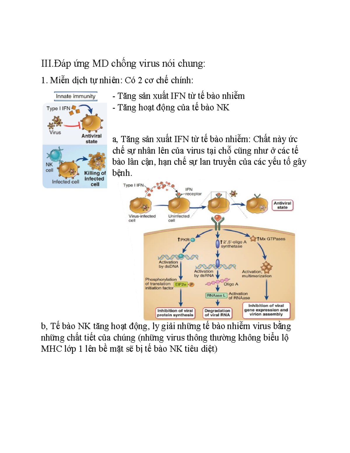 Đáp ứng miễn dịch chống virus - III.Đáp ứng MD chống virus nói chung ...