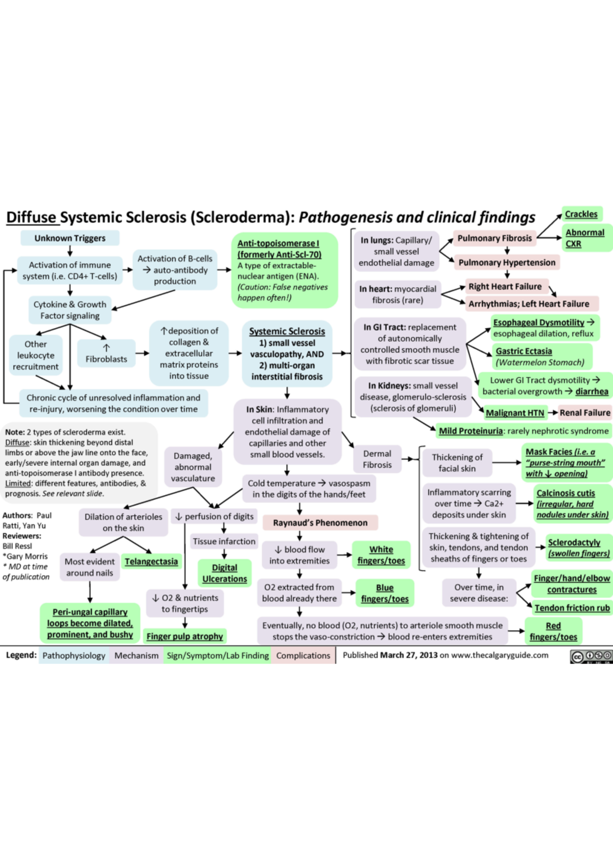 Diffuse Systemic Sclerosis Scleroderma - HLT54115 - Studocu