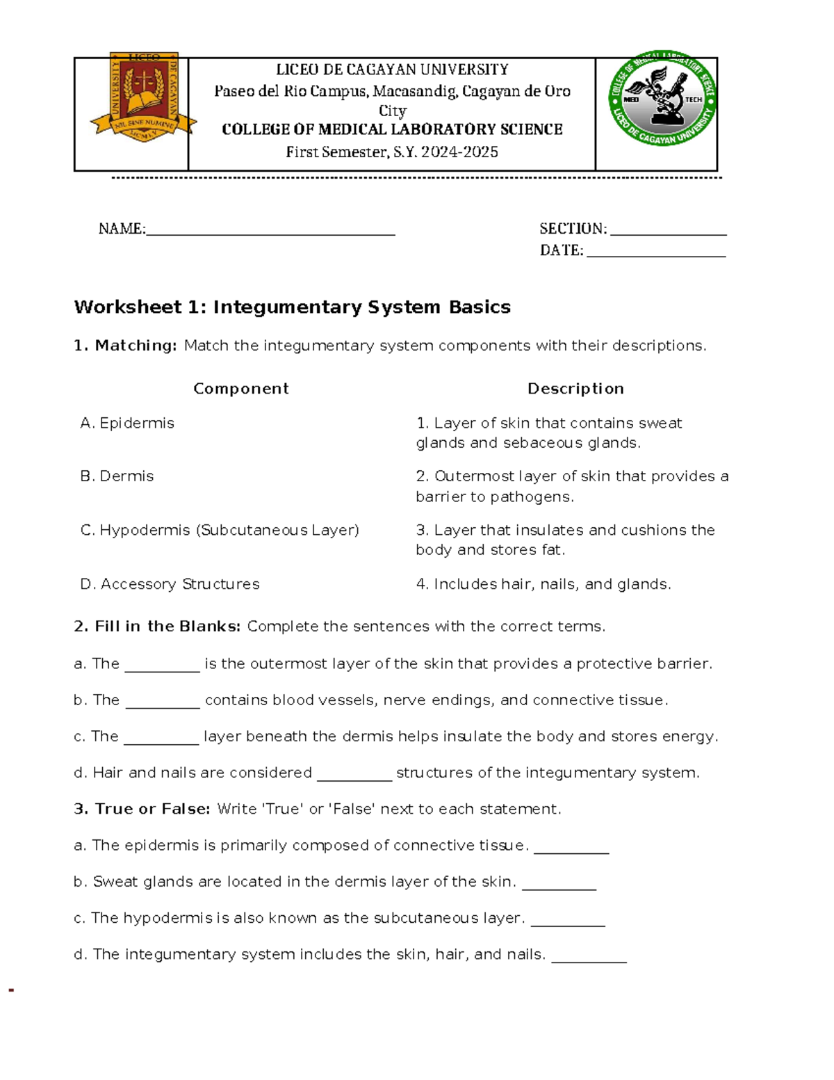 Integumentary System Worksheet - LICEO DE CAGAYAN UNIVERSITY Paseo del ...