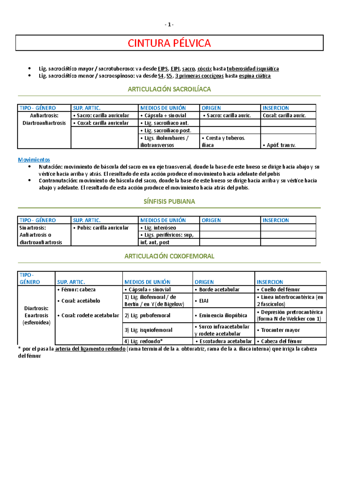 Articulaciones - Resumen Anatomía - CINTURA Lig. mayor sacrotuberoso ...