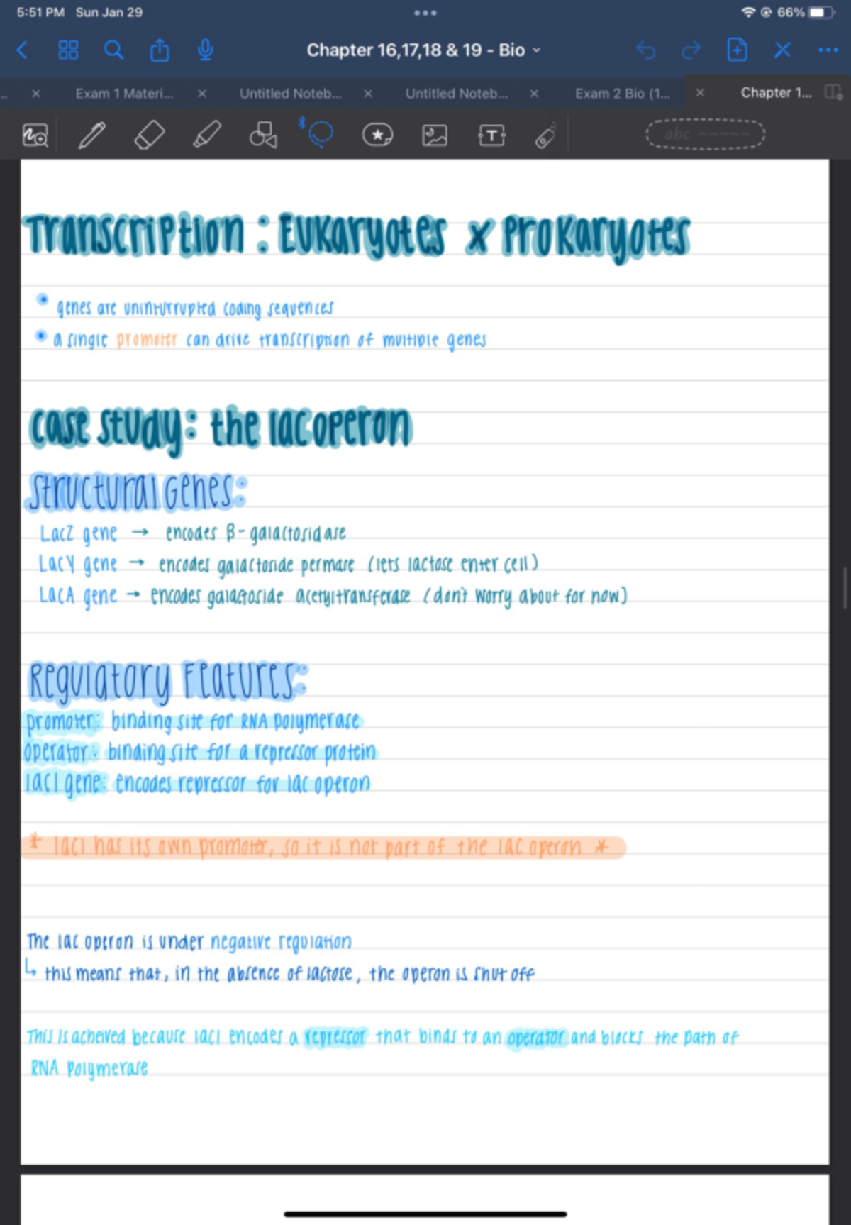 Chapter 18 Notes - BI 111 - Studocu