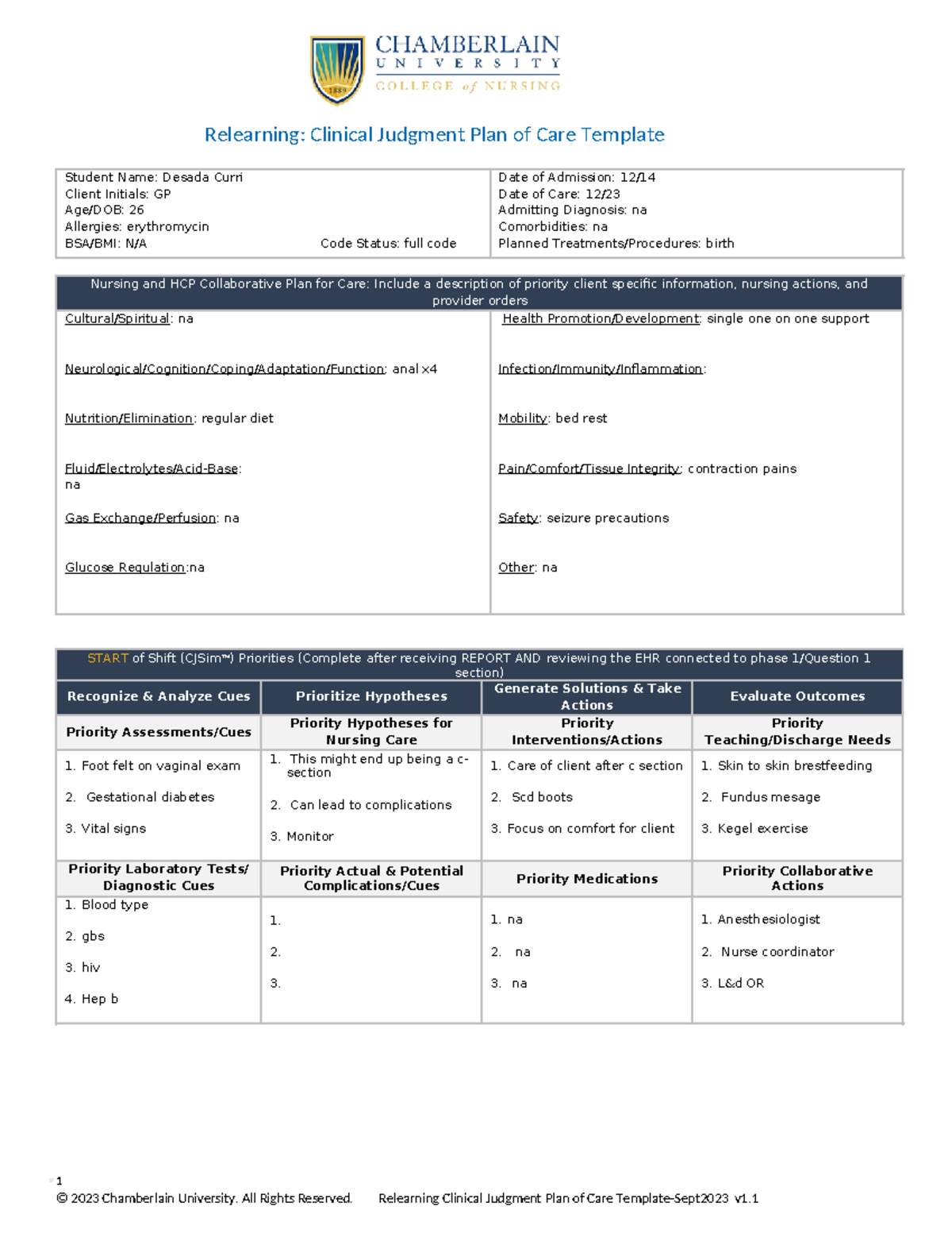 Relearning Clinical Judgment Plan of Care Template Sept23 2 ...