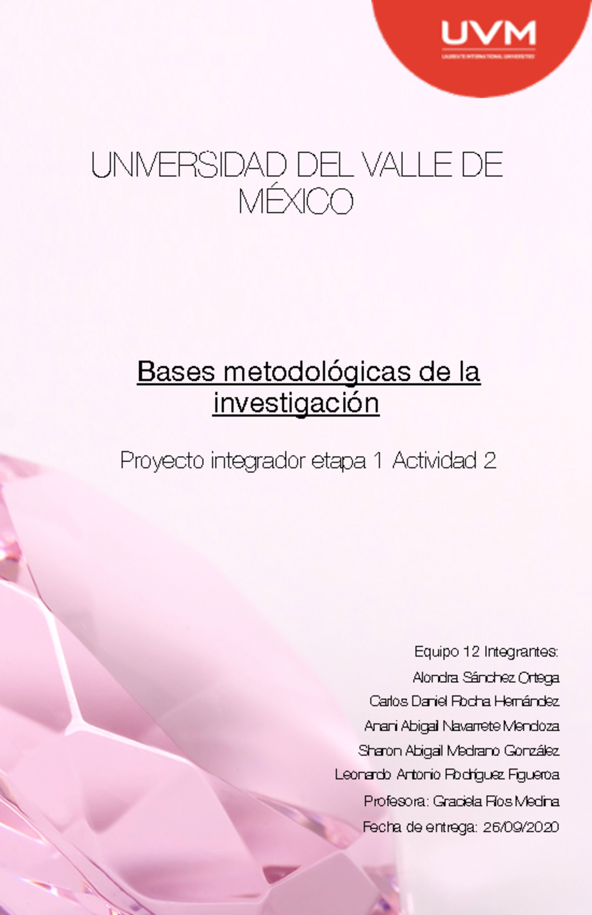 A2 AANM Proyecto integrador Etapa 1 - UNIVERSIDAD DEL VALLE DE MÉXICO Bases metodológicas de la ...