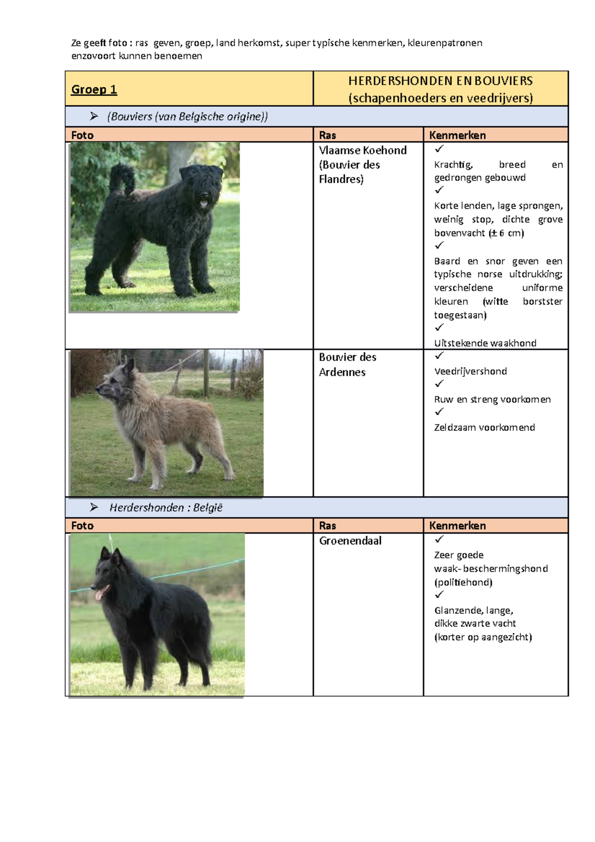 Samenvatting voor het vak rassenleer - honden afstudeerrichting ...