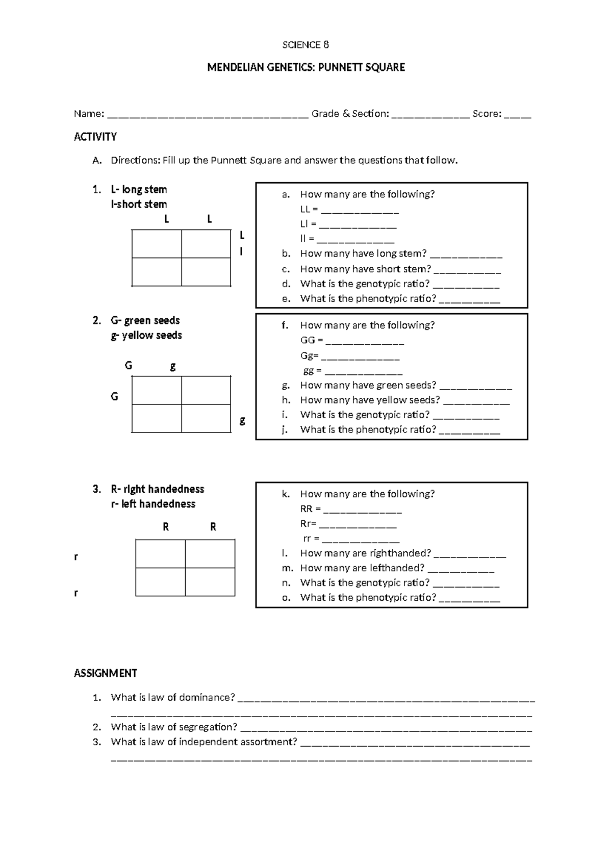 AS Punnett Square - SCIENCE 8 MENDELIAN GENETICS: PUNNETT SQUARE Name ...