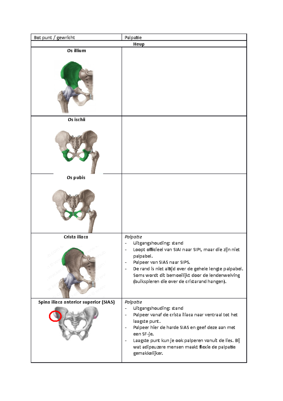 BOKS Blok A gezondheid botpunten - Bot punt / gewricht Palpatie Heup Os ...
