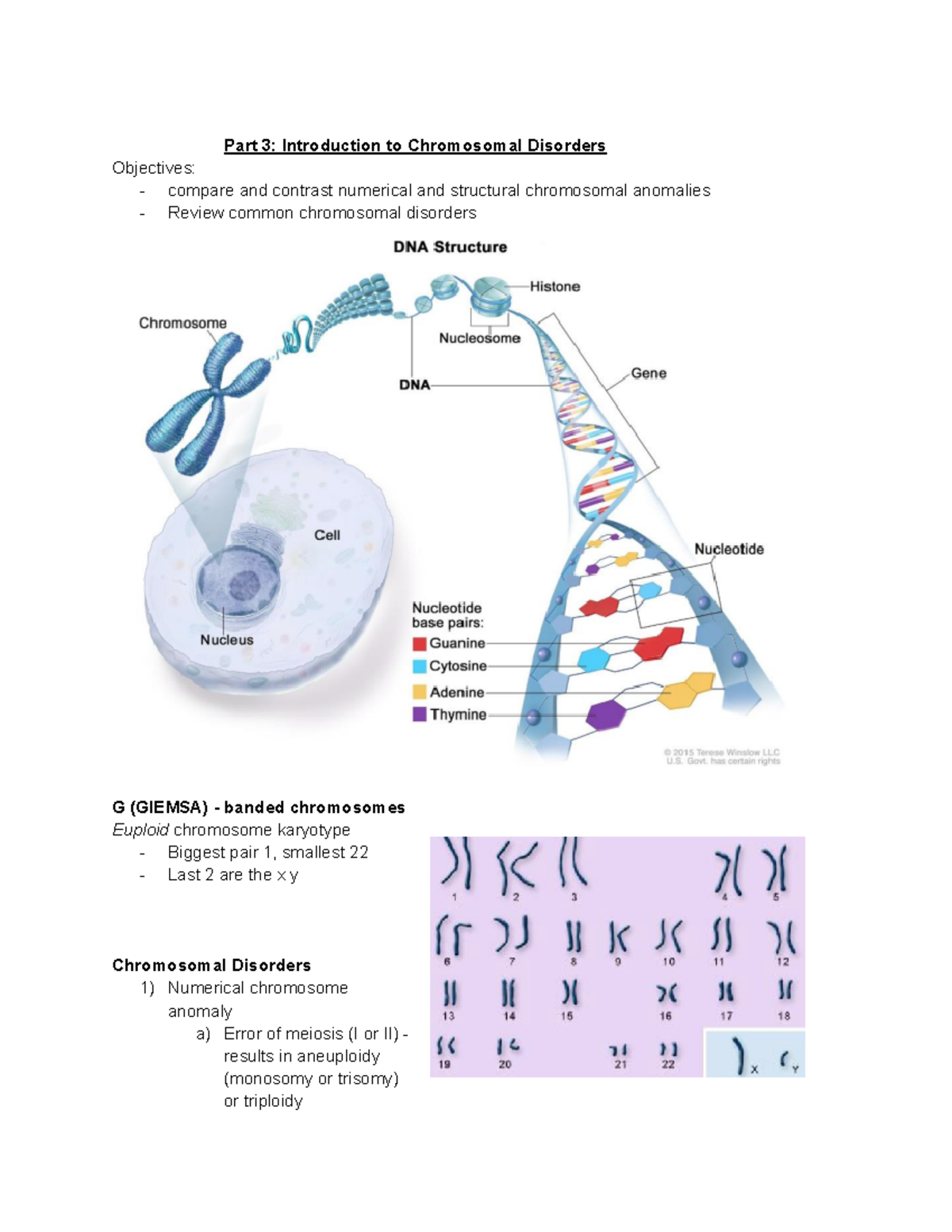 Part 3 Introduction to Chromosomal Disorders - Part 3: Introduction to ...