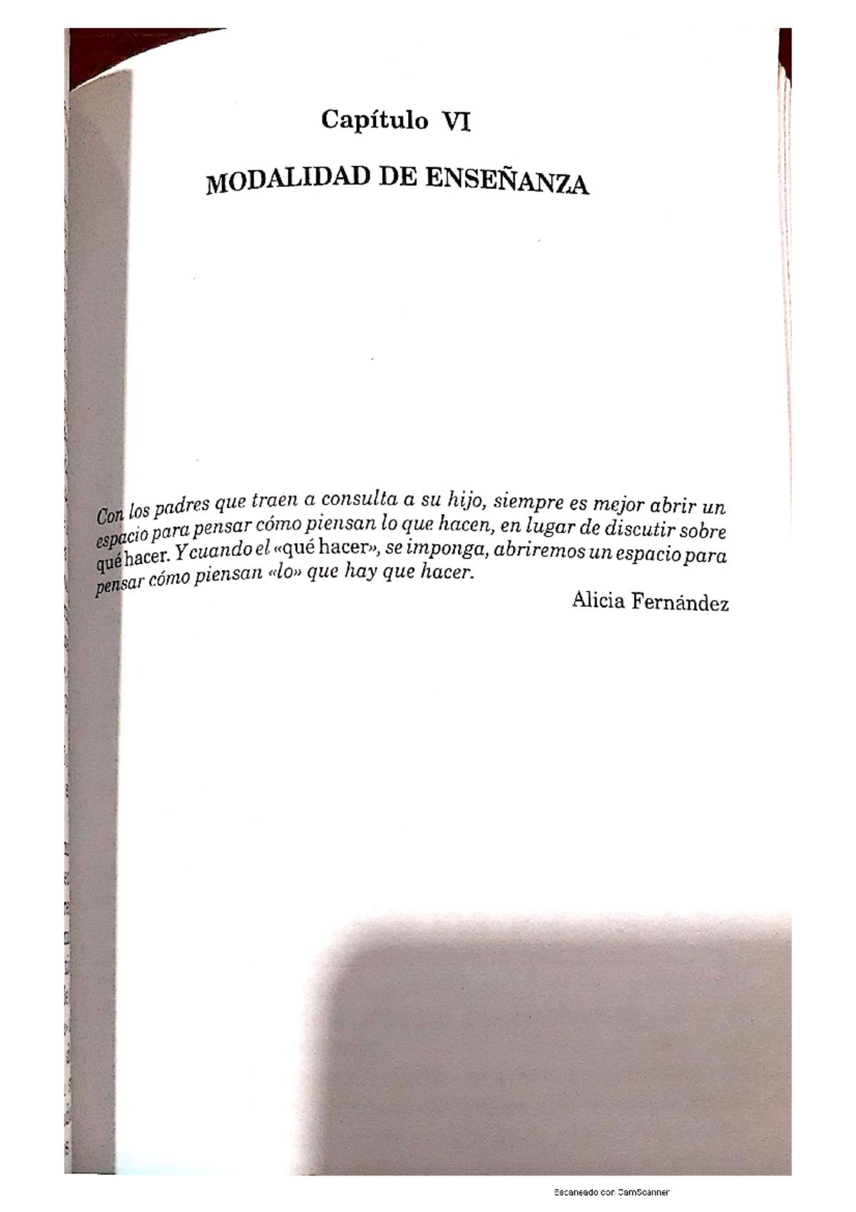 A. Fernandez. Capítulo VI .Los idiomas del aprendiente - Capítulo VI ...