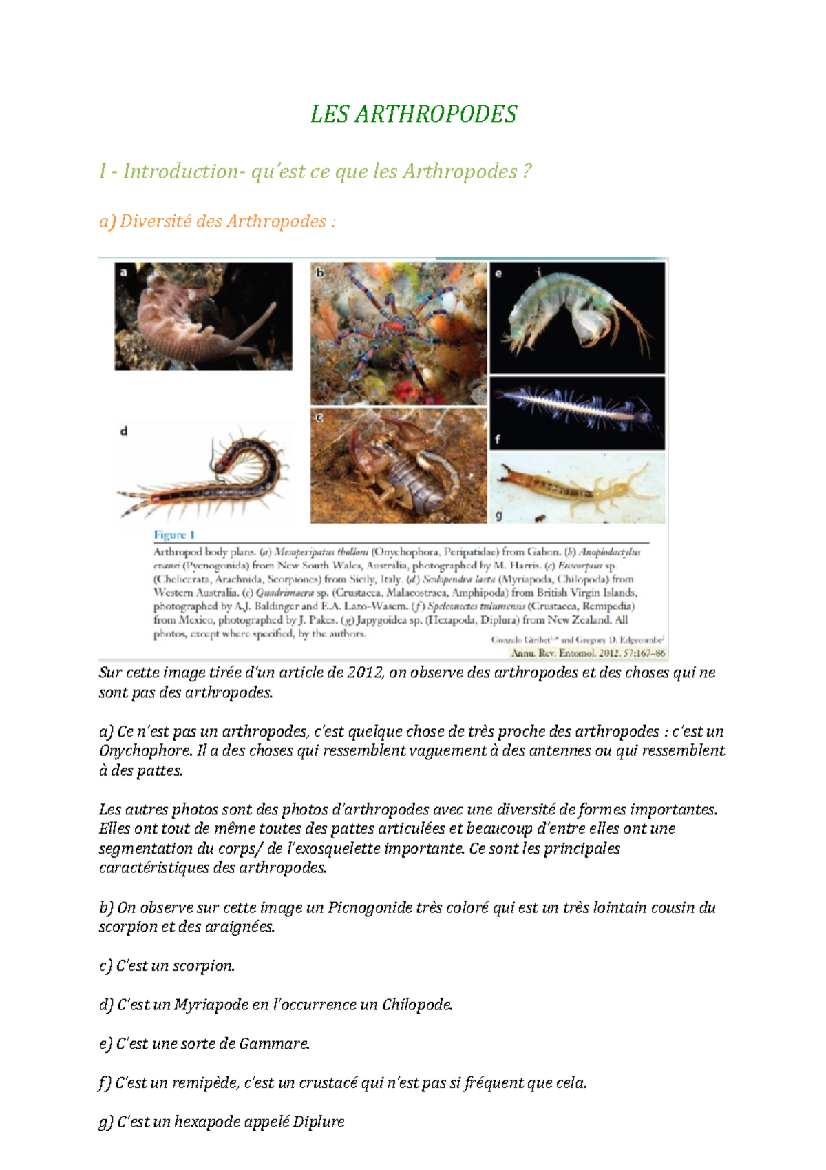 LES Arthropodes cours au propre - LES ARTHROPODES I - Introduction- qu ...
