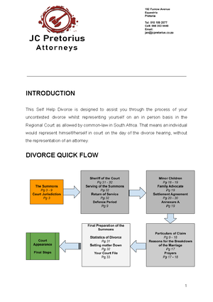Application FOR Summary Judgement - IN THE HIGH COURT OF SOUTH AFRICA ...