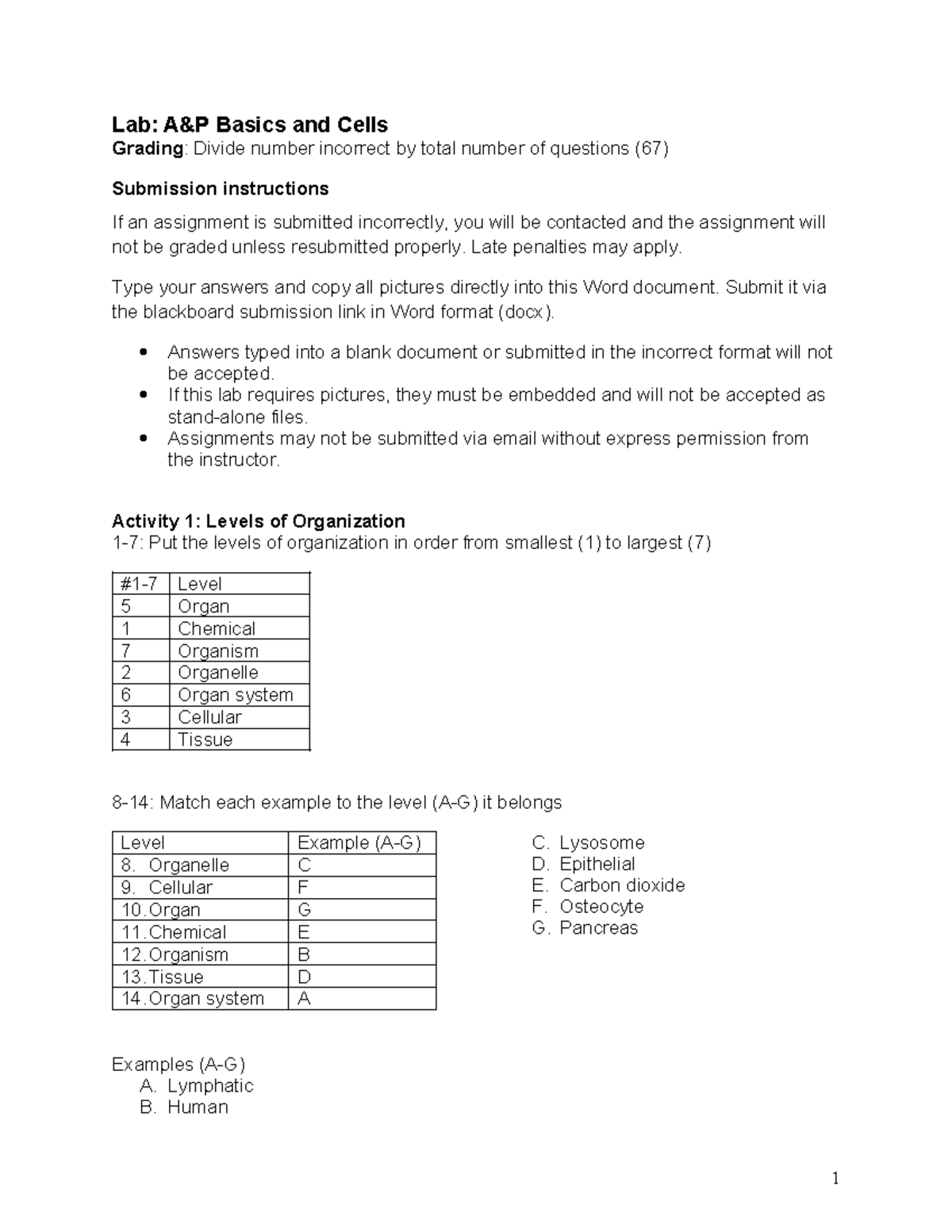 Lab Basics Cell - Lab: A&P Basics and Cells Grading: Divide number incorrect by total number of ...
