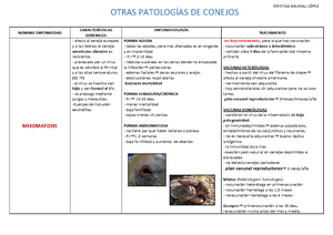Músculos de la pierna - 1 MUSCULS DE LA CAMA 1 COMPARTIMENT POSTERIOR 1 ...