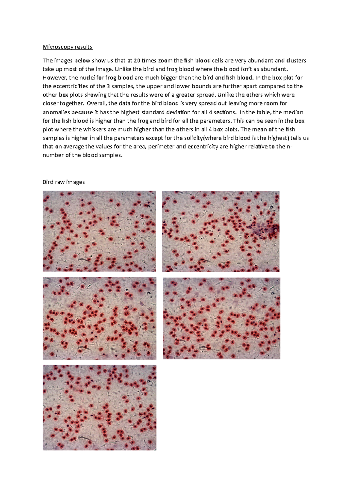 Microscopy results - Microscopy results The images below show us that ...