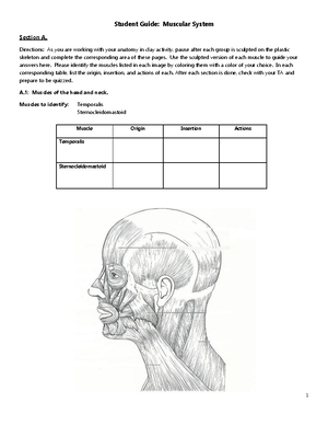 1A Intro to Anatomy Clinical Questions - Intro to Anatomy Clinical ...