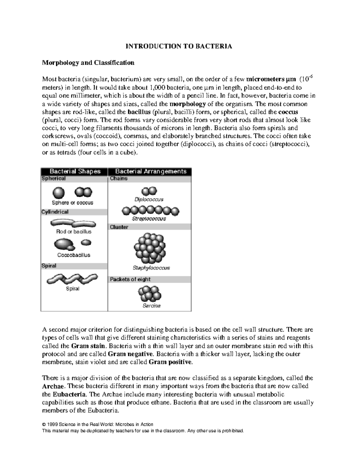 Introduction to bacteria. - 1999 Science in the Real World: Microbes in ...