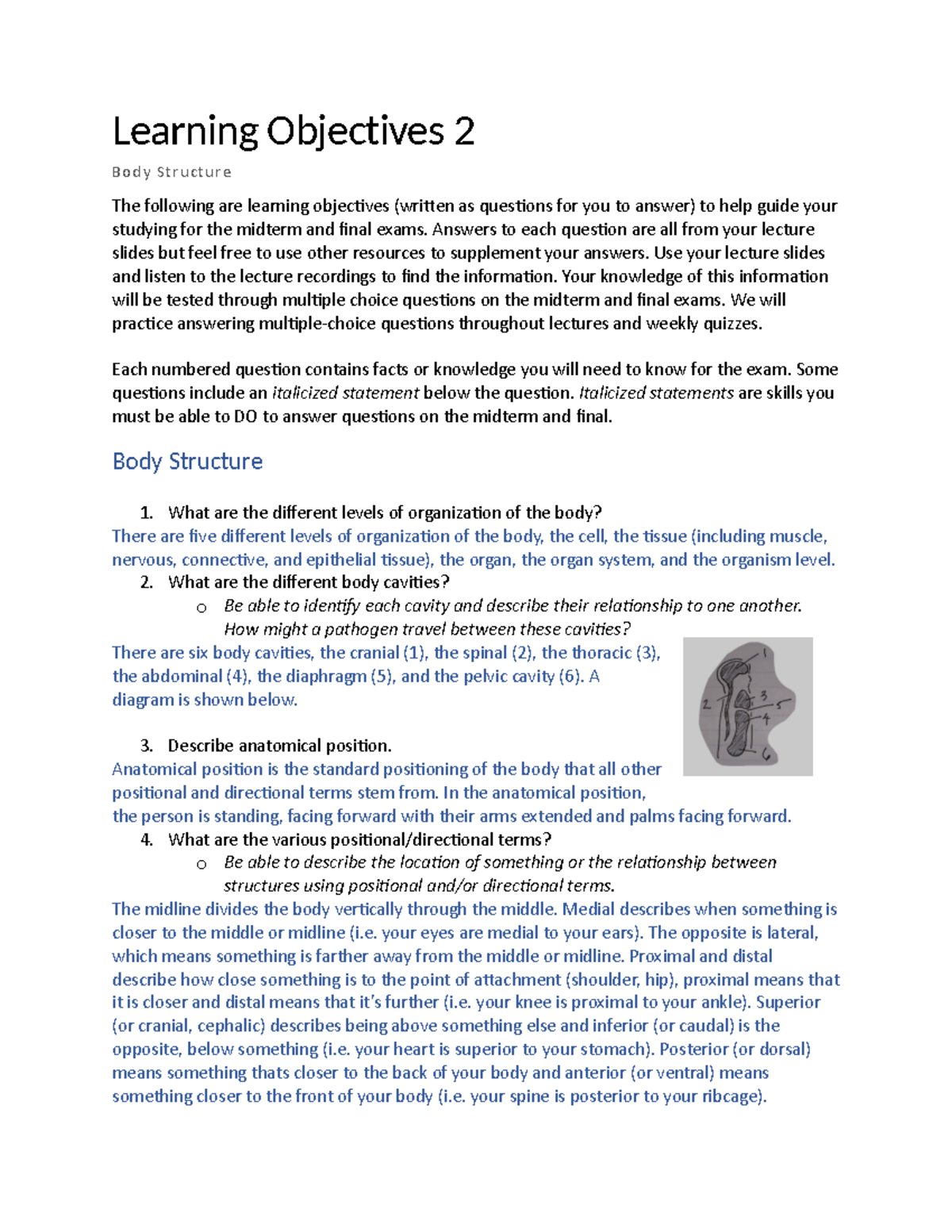 Learning Objectives 2 - Body Structure - Learning Objectives 2 Body ...