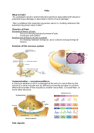 RN-Self-Assessment-examples - Self Assessment Registered Nurses ...