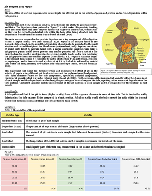 Year 10 Exam 2021 - notes from an exam - Year 10 English Exam Semester ...