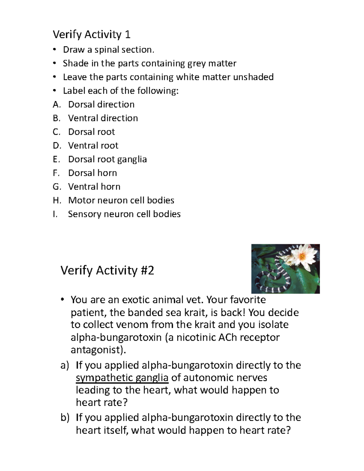 Module 6 - Verify Activity Questions (203 - Verify Activity 1 • Draw a ...