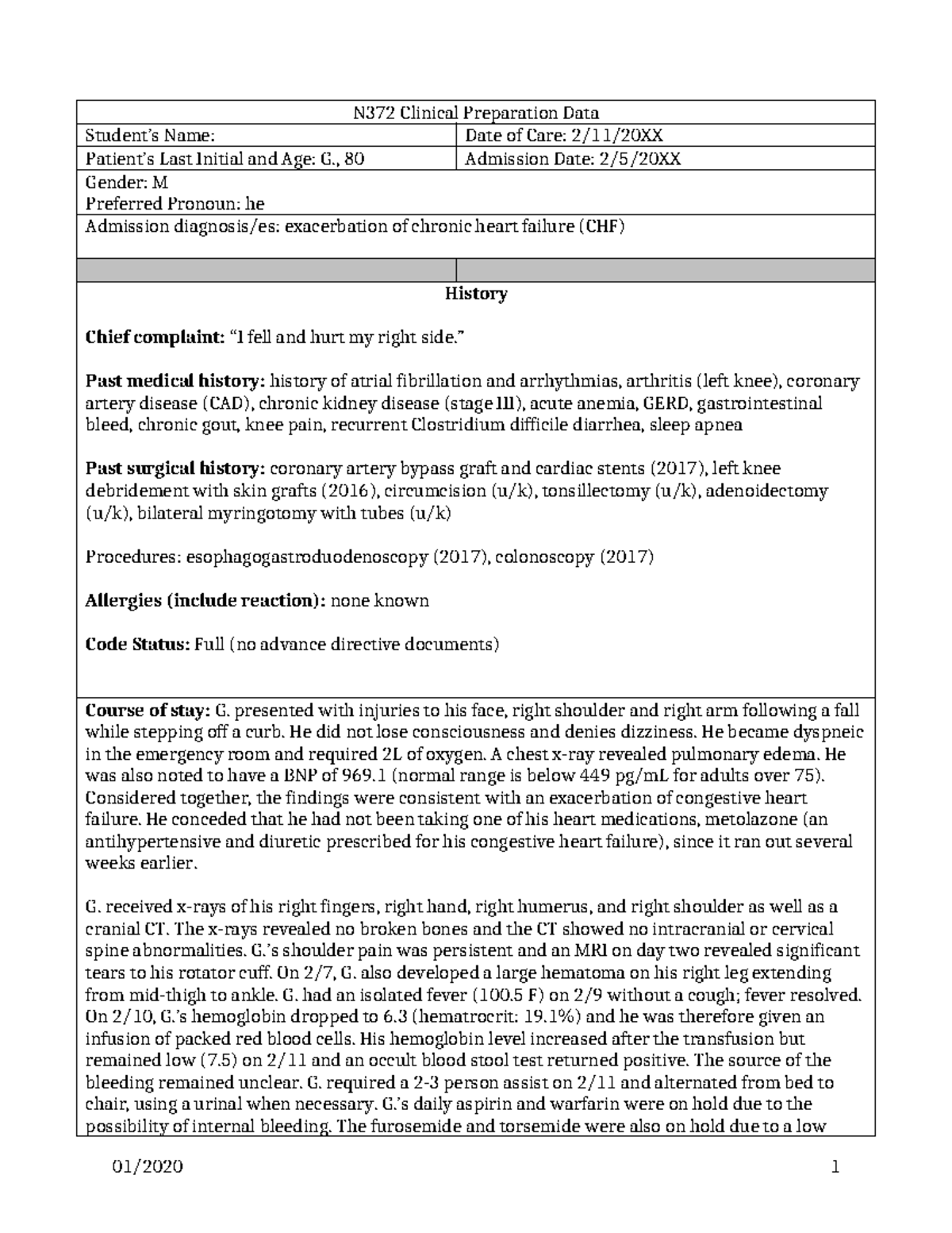 Clinical Prep Example Fall 2020 - N372 Clinical Preparation Data ...
