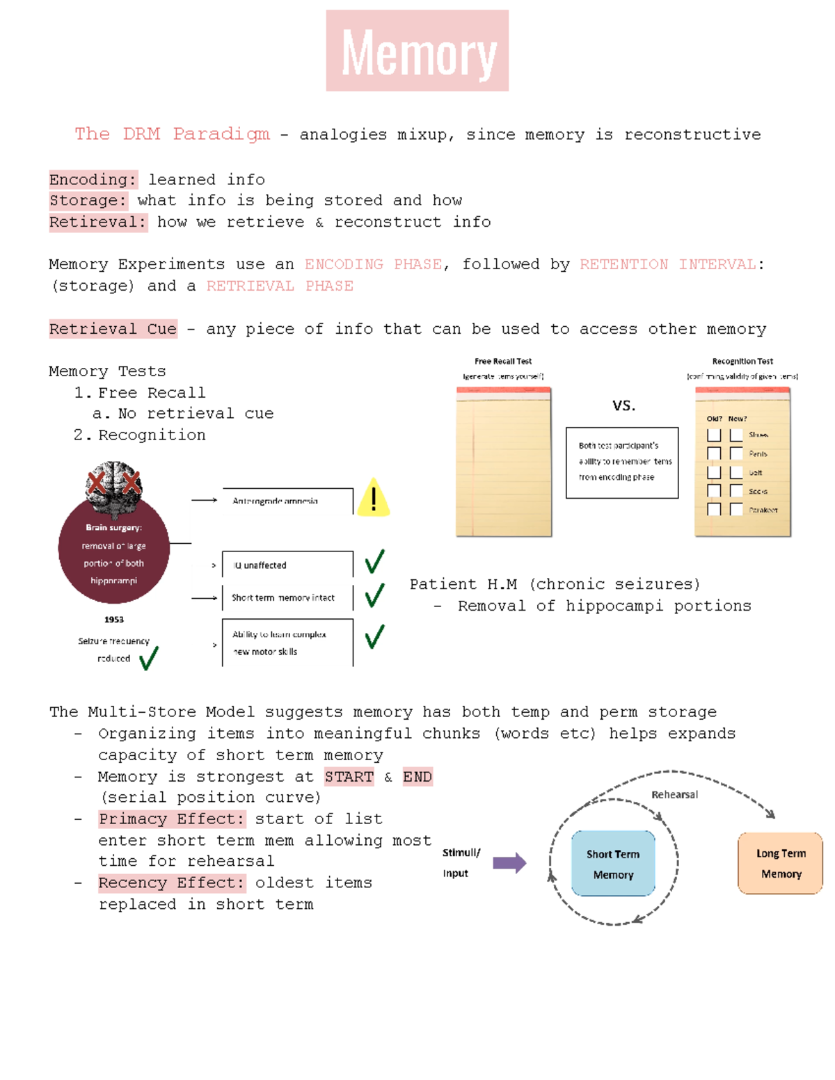 Module notes for memory section - Memory. The DRM Paradigm - analogies ...