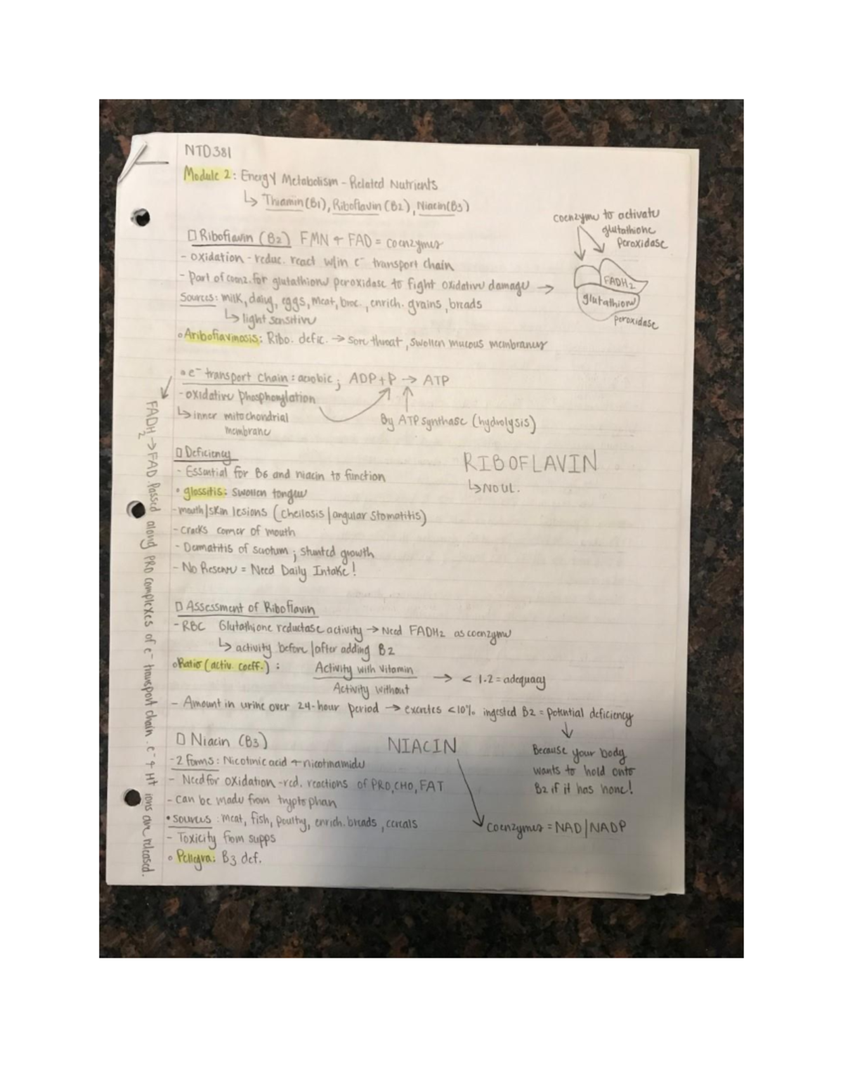 NTD 381 Riboflavin Written Notes - NTD 381 - Studocu