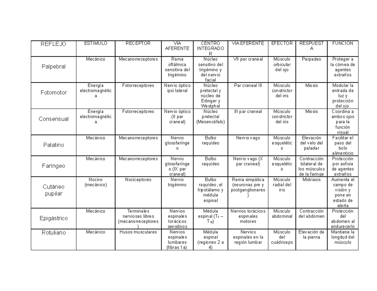 Tabla de resultados Práctica 1 "Arco Reflejo" - REFLEJO ESTÍMULO ...