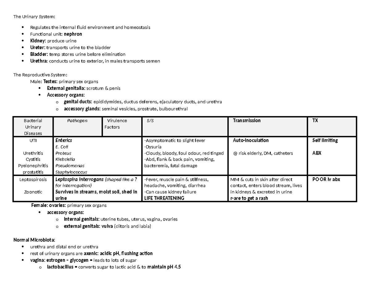 urinary and reproductive diseases - The Urinary System: Regulates the ...