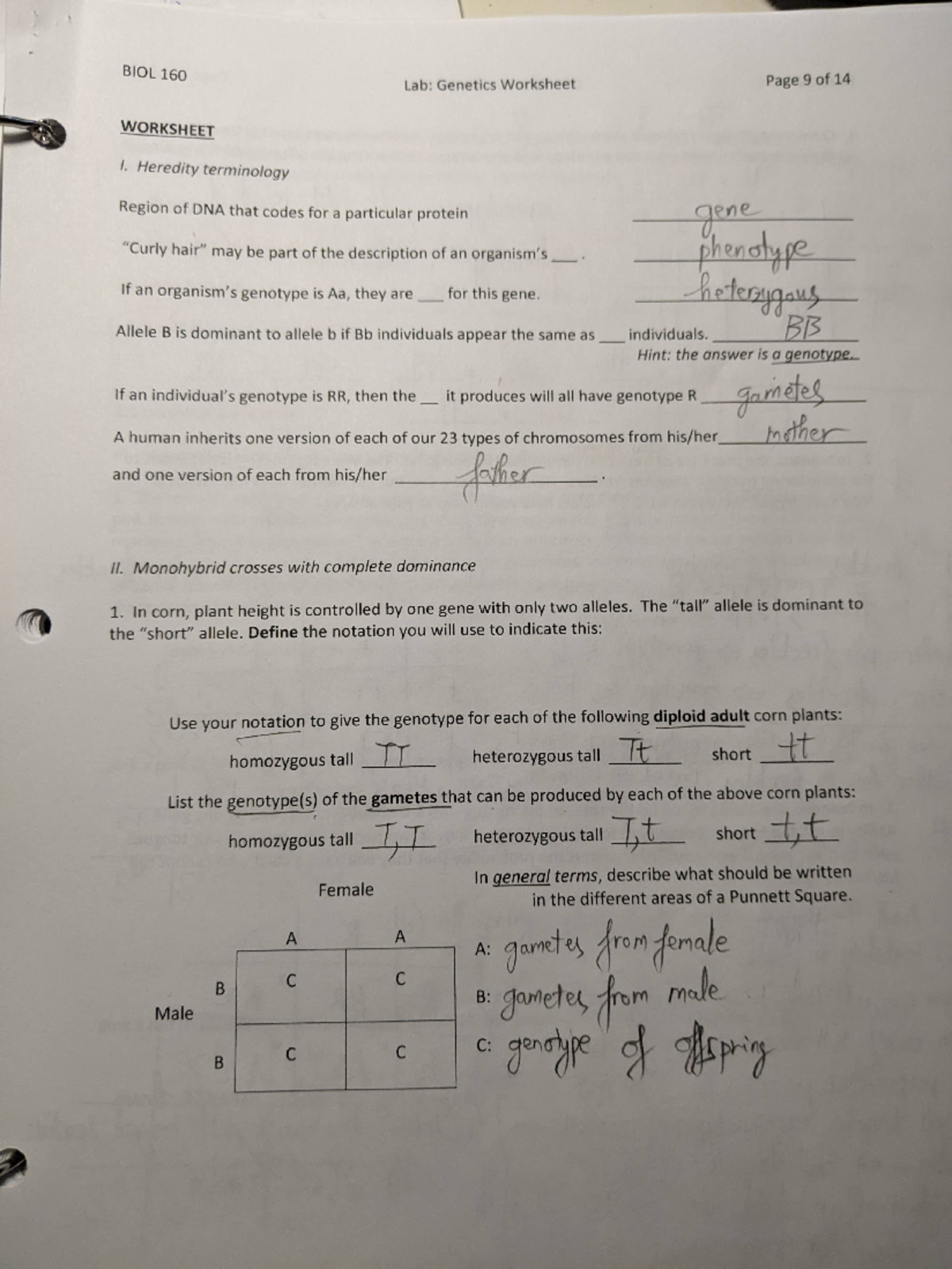 Lab 5 Genetics Work for Unit 8 W2022 - Studocu