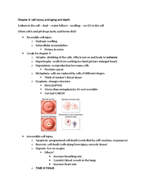 Nursing fluid and electrolyte template - ELECTROLYTE IMBALANCES ...