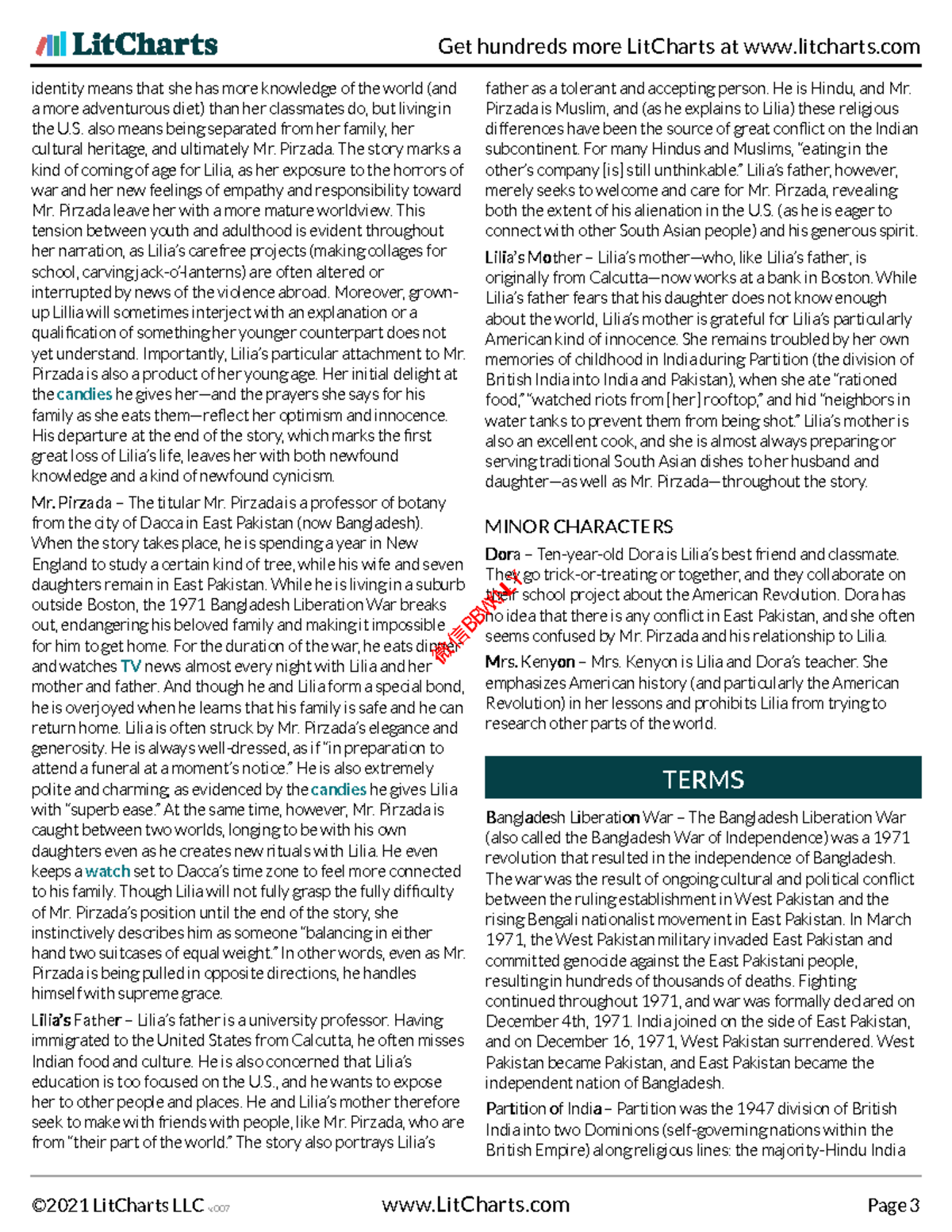 When-Mr-Pirzada-Came-to-Dine-Lit Chart 3 - identity means that she has ...