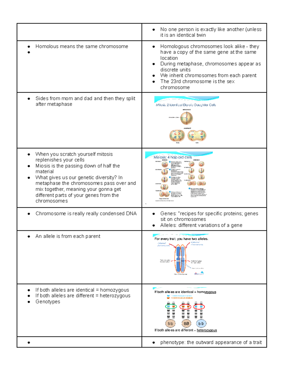 Biology - Genetics - No one person is exactly like another (unless it ...