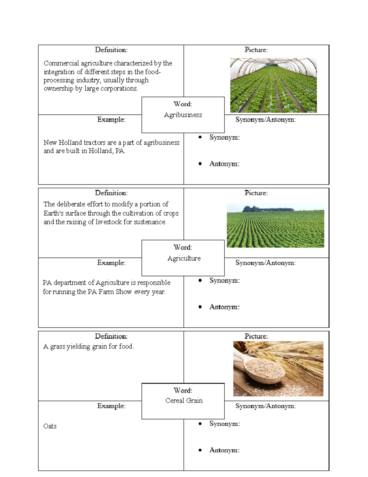 Vocabulary - vocab - State Commercial agriculture characterized by the ...