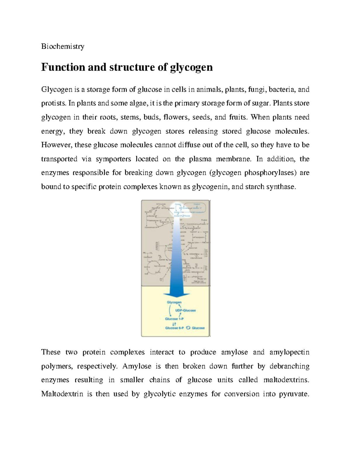 Function And Structure Of Glycogen Biochemistry Function And