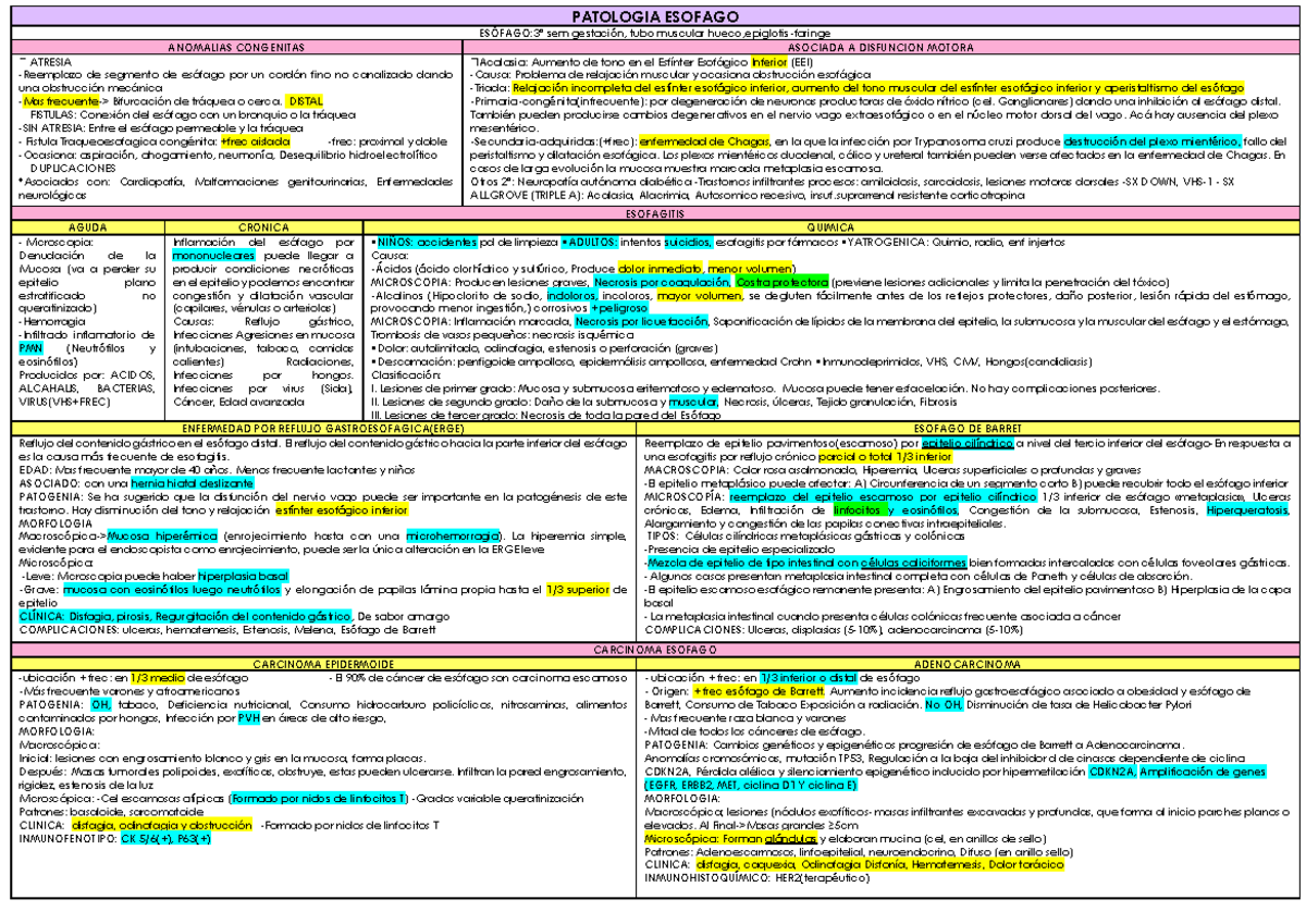 PATO II Gastro- Esofago - PATOLOGIA ESOFAGO ESÓFAGO:3° sem gestación ...
